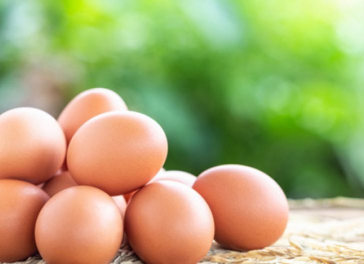 Telur Ayam Alami Kenaikan Harga, Diharap Mampu Tutup Kerugian Peternak ...
