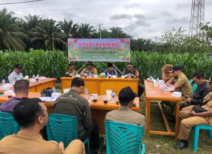 Polsek Mukok Gagas Demplot Jagung Hibrida, Jadi Contoh Nyata Dukung ...