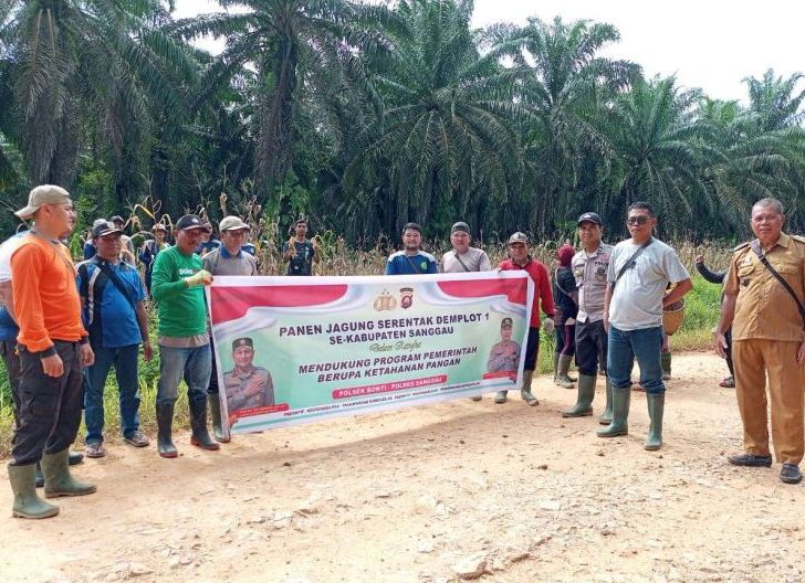 Panen Jagung Hibrida Demplot I, Polsek Bonti Tegaskan Komitmen Dukung ...
