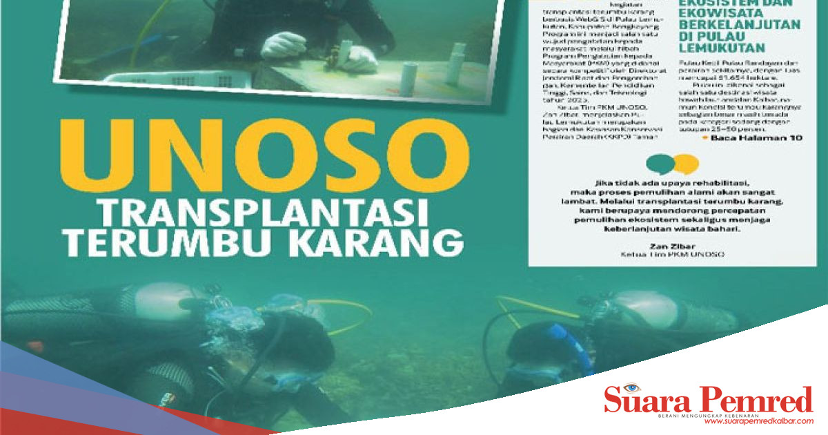 UNOSO Transplantasi Terumbu Karang, Dorong Pemulihan Ekosistem dan ...